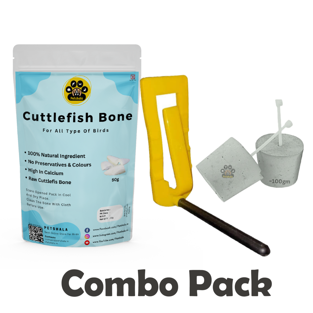 Cuttle Fish Bone 50g + Calcium Block 2 Piece + Cuttle Holder - Petshala